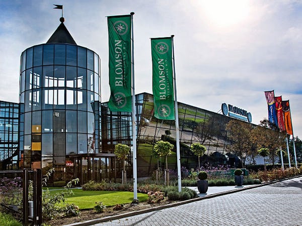 Blomson verkoopt BeOne en Montego